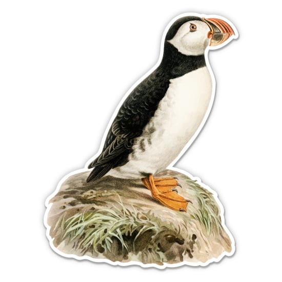 Puffin Vintage Illustration - 8" Vinyl Sticker - For Car Laptop I-Pad ...
