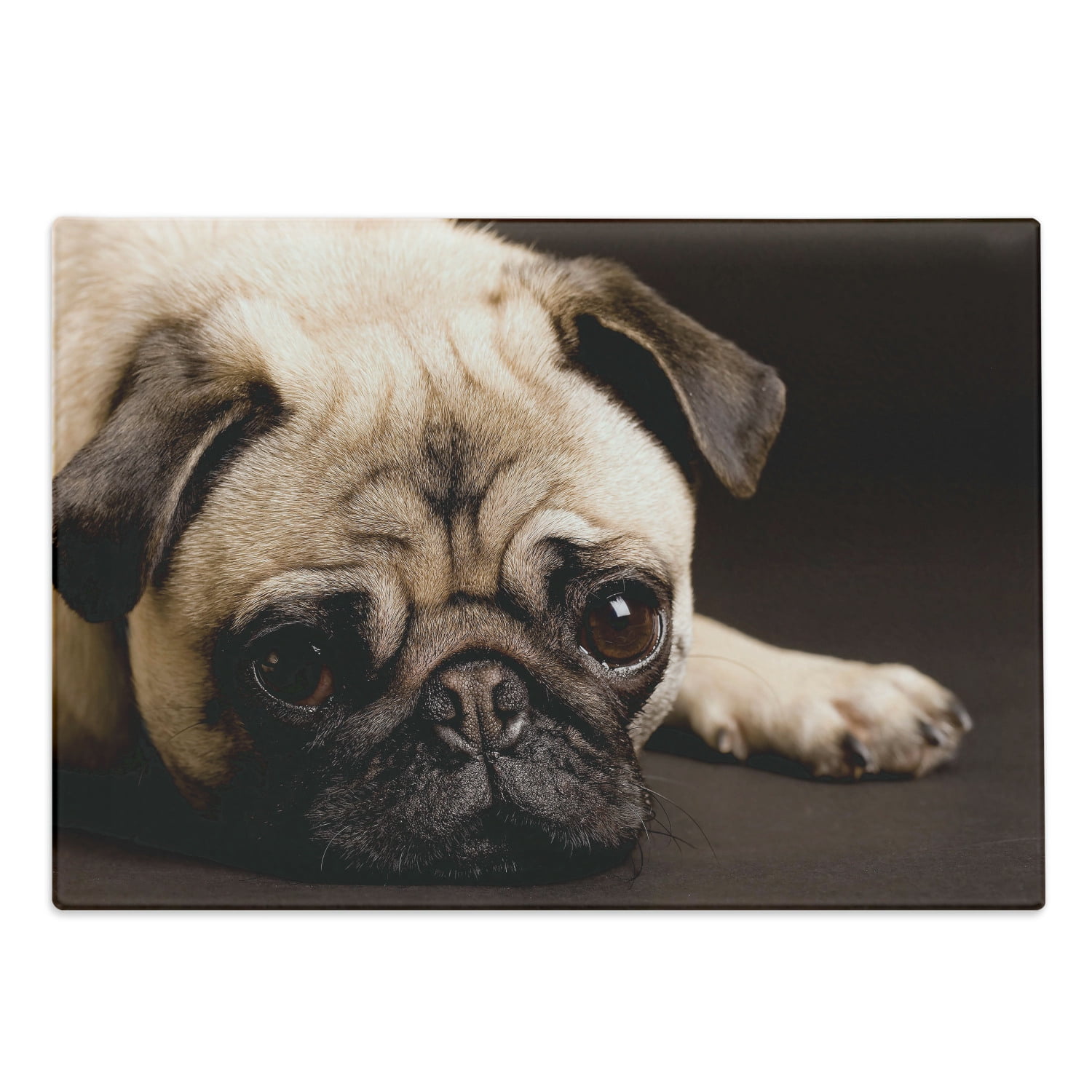 Pug Cutting Board, Photograph of a Pet Its Little Paws Pure Bred Dog ...