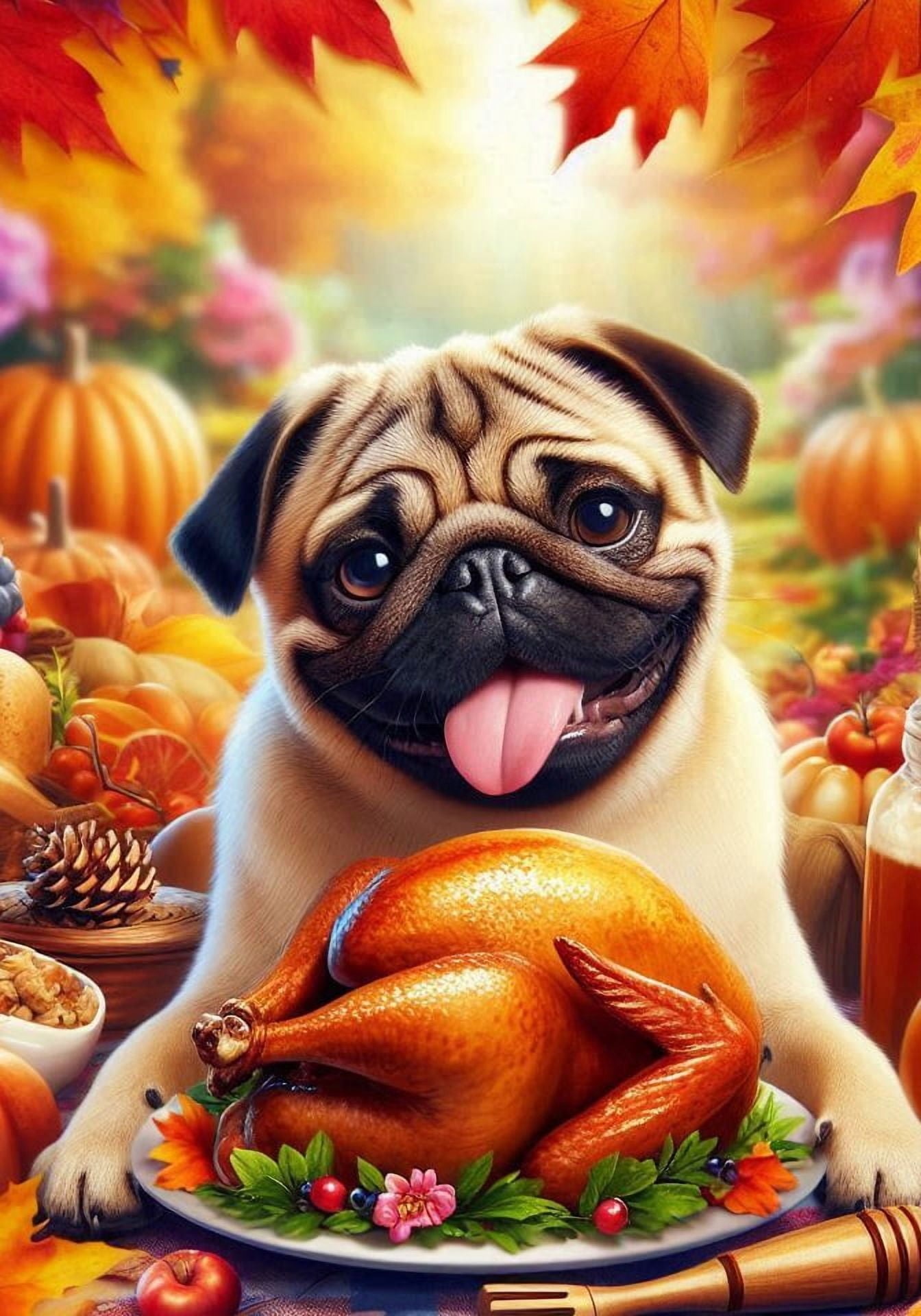 Pug Fawn - Best of Breed DCR Thanksgiving House Flag 28" x 40 ...