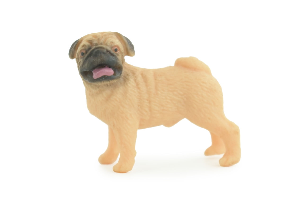 Pug Puppy Dog, Hand Painted, Educational, Museum Quality, Realistic ...