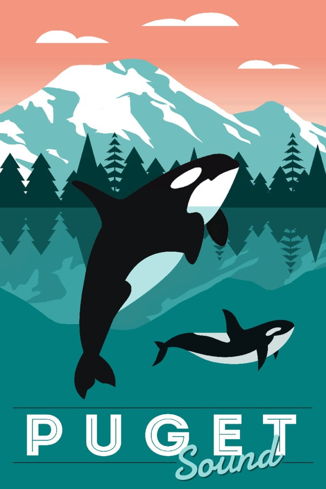 Puget Sound, Orca Whale and Calf, Go Freestyle (12x18 Wall Art Poster ...