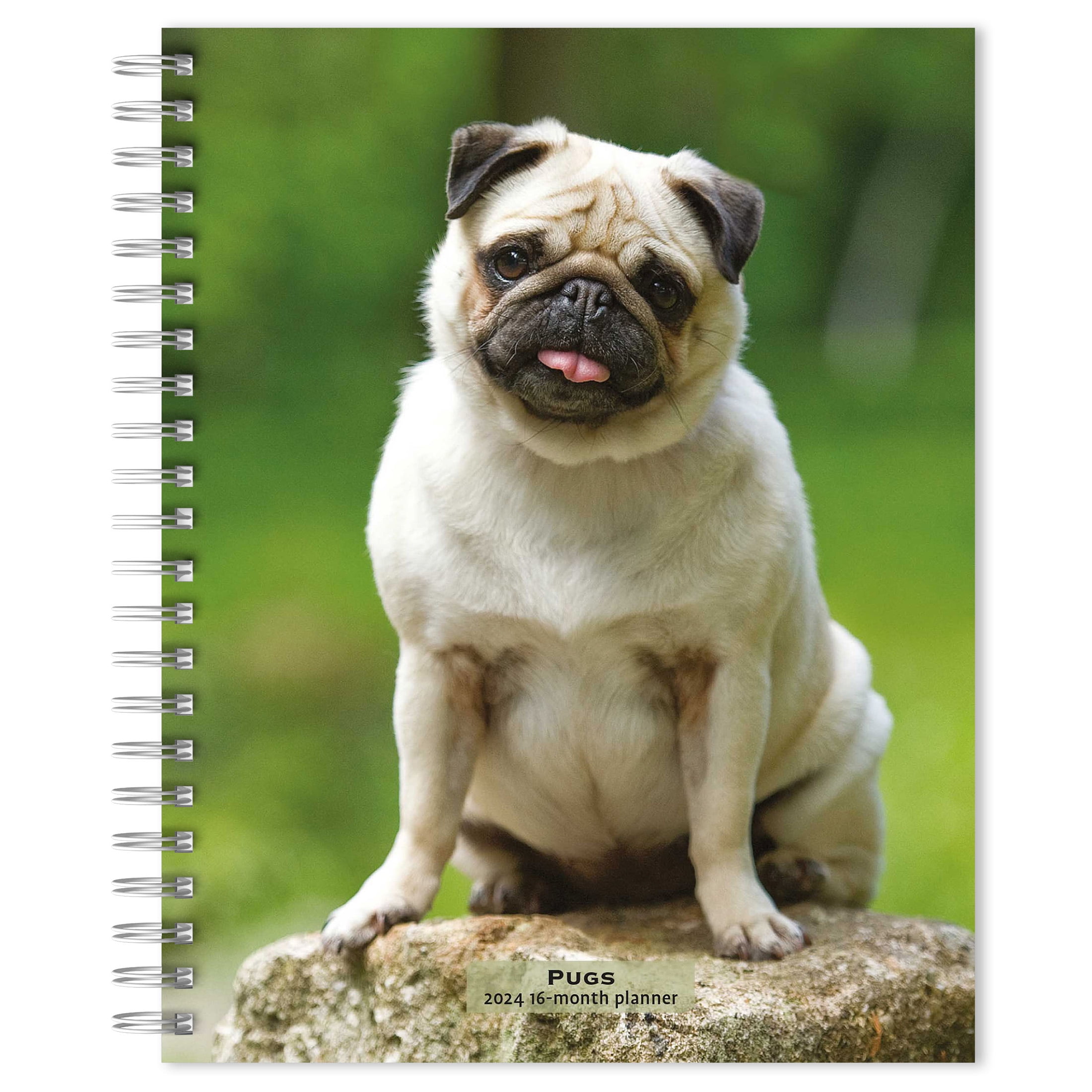 Pugs | 2024 6x7.75" Wire-O Engagement Planner Calendar | BrownTrout ...