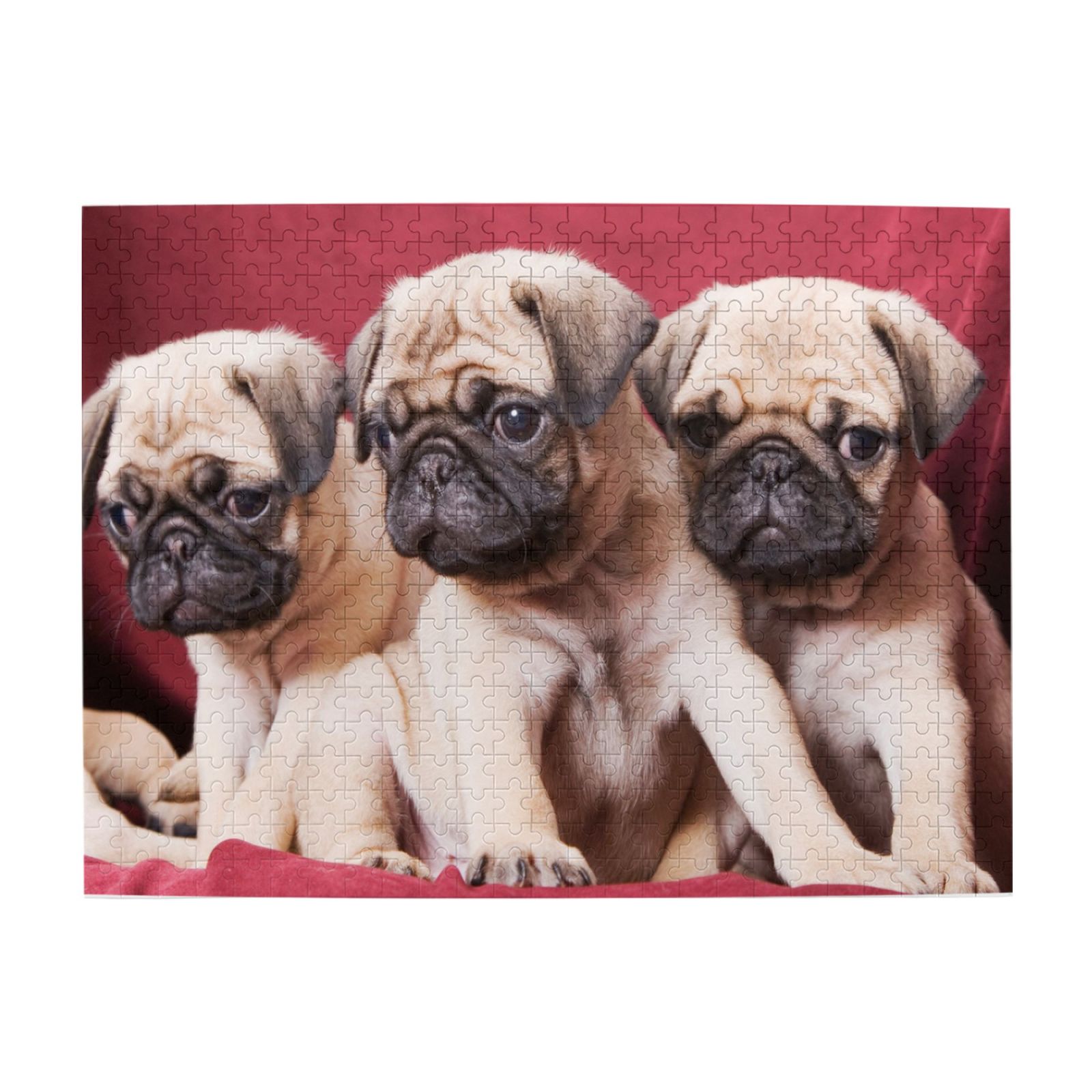 Pugs Sofas Blankets Color Photographs, Jigsaw Puzzles 500 Pieces Wooden ...