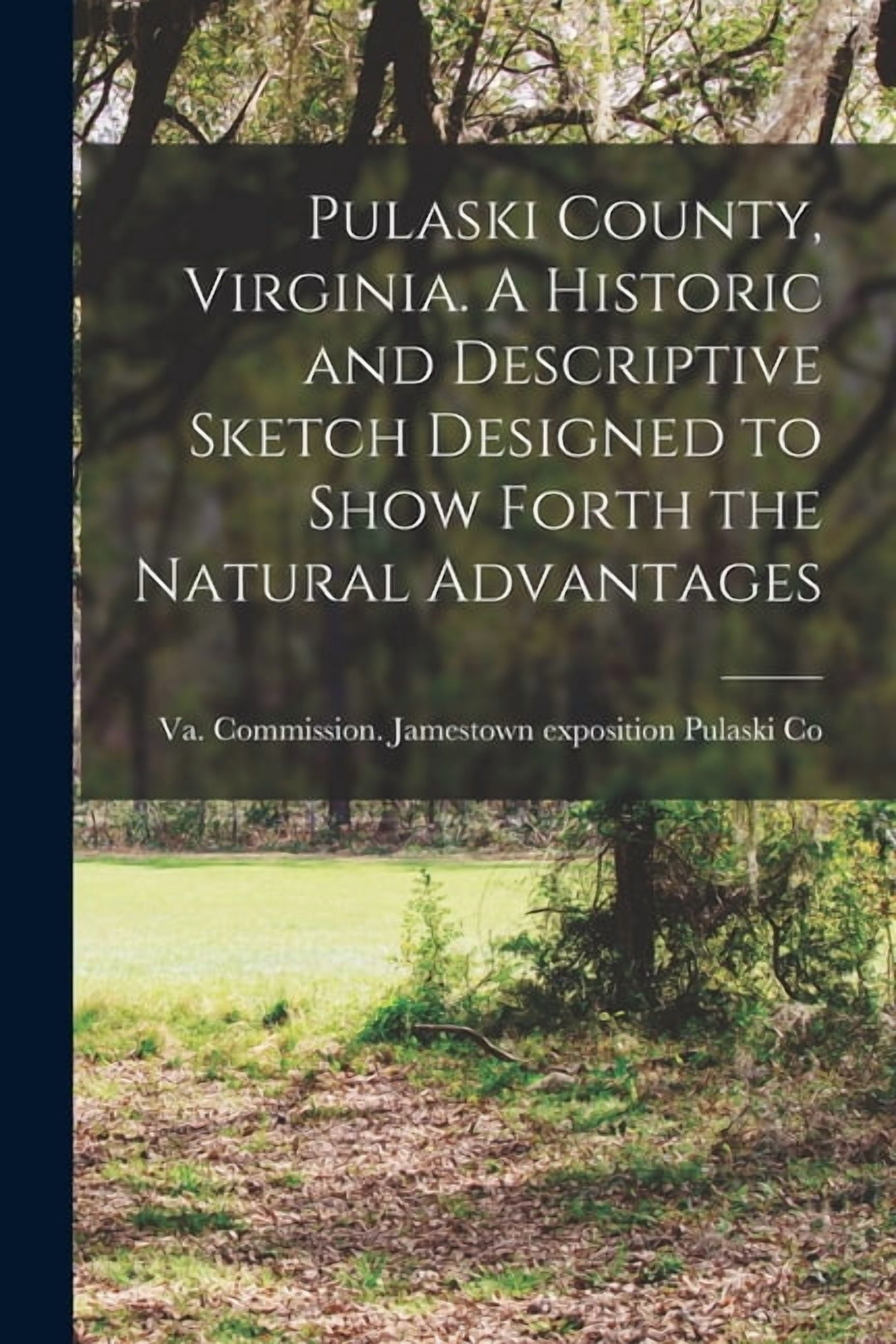 Pulaski County, Virginia. A Historic and Descriptive Sketch Designed to ...