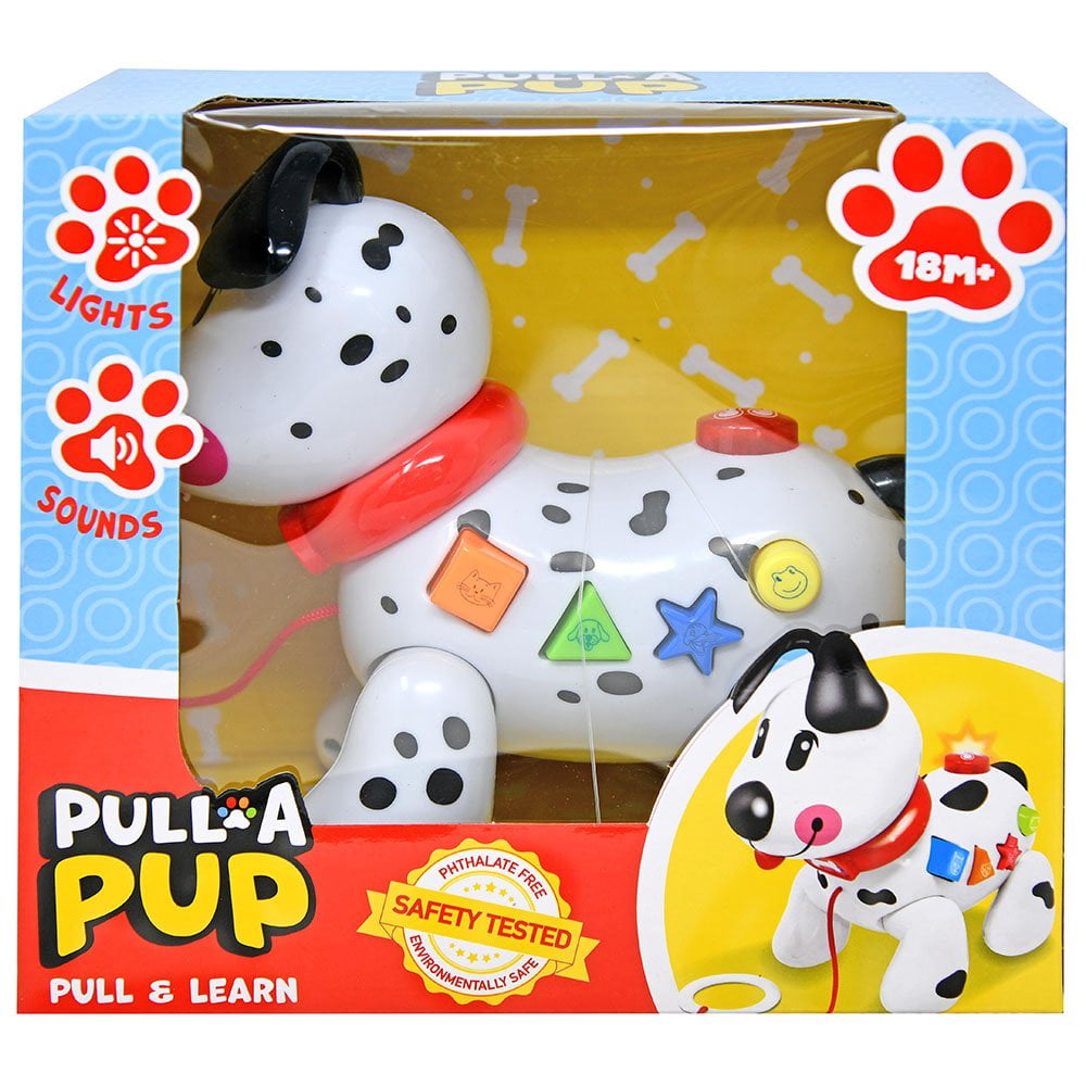 Pup Box