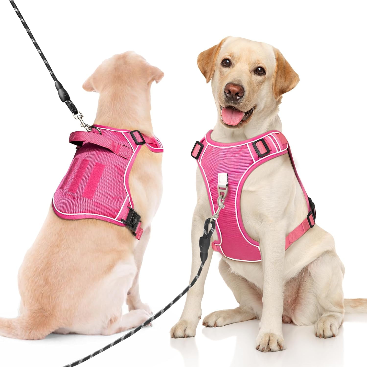 No Pull Dog Harness, Adjustable Harnesses for Small Dog, No Choke Soft ...