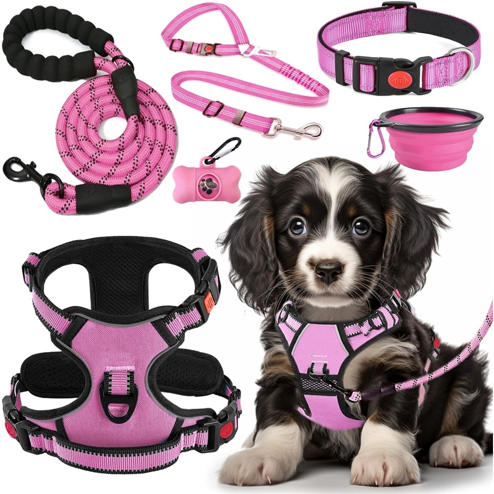 No Pull Dog Harness, Collar & Leash Set | Includes Dog Seat Belt ...