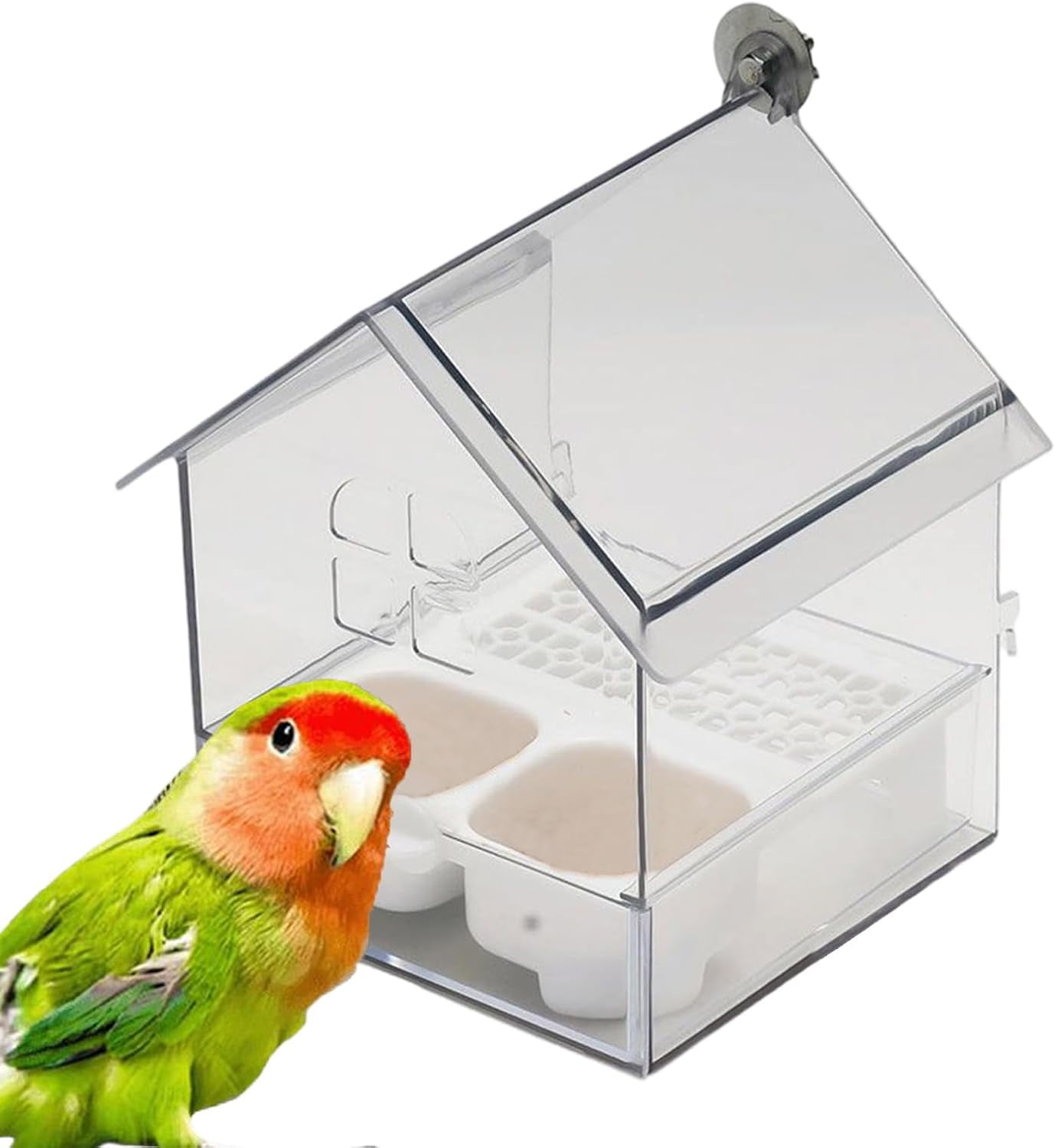 Pull-Out External Parrot Feeder, Hanging Wild Bird Seed with Squirrel ...