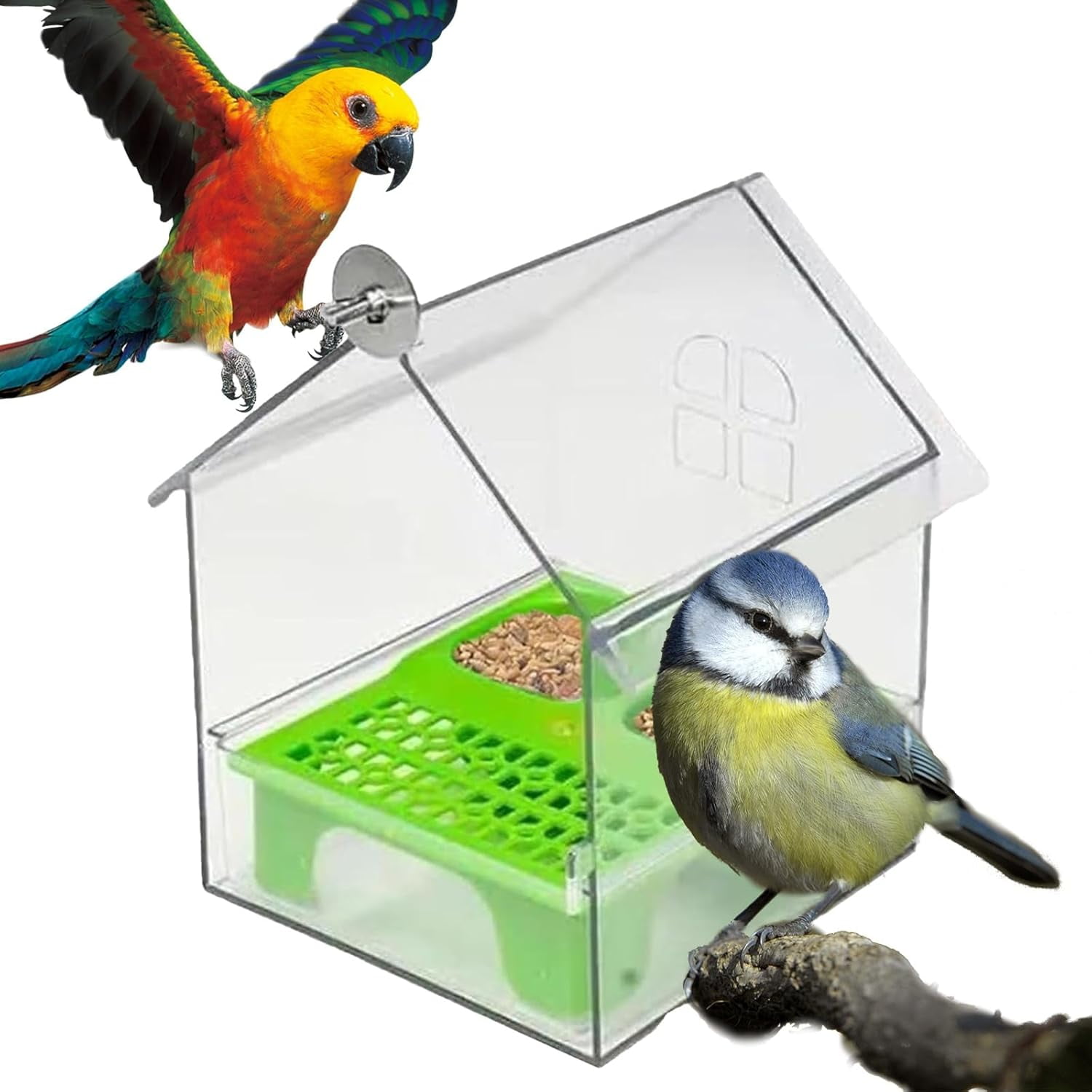 Pull-Out External Parrot Feeder, Transparent Acrylic Food Container ...