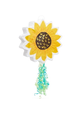 Pinatas in Party Decorations - Walmart.com