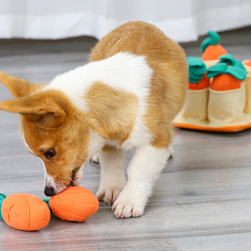 Pulling Carrot Game Iq Educational Dog Toys Slow Food Leaking Training ...