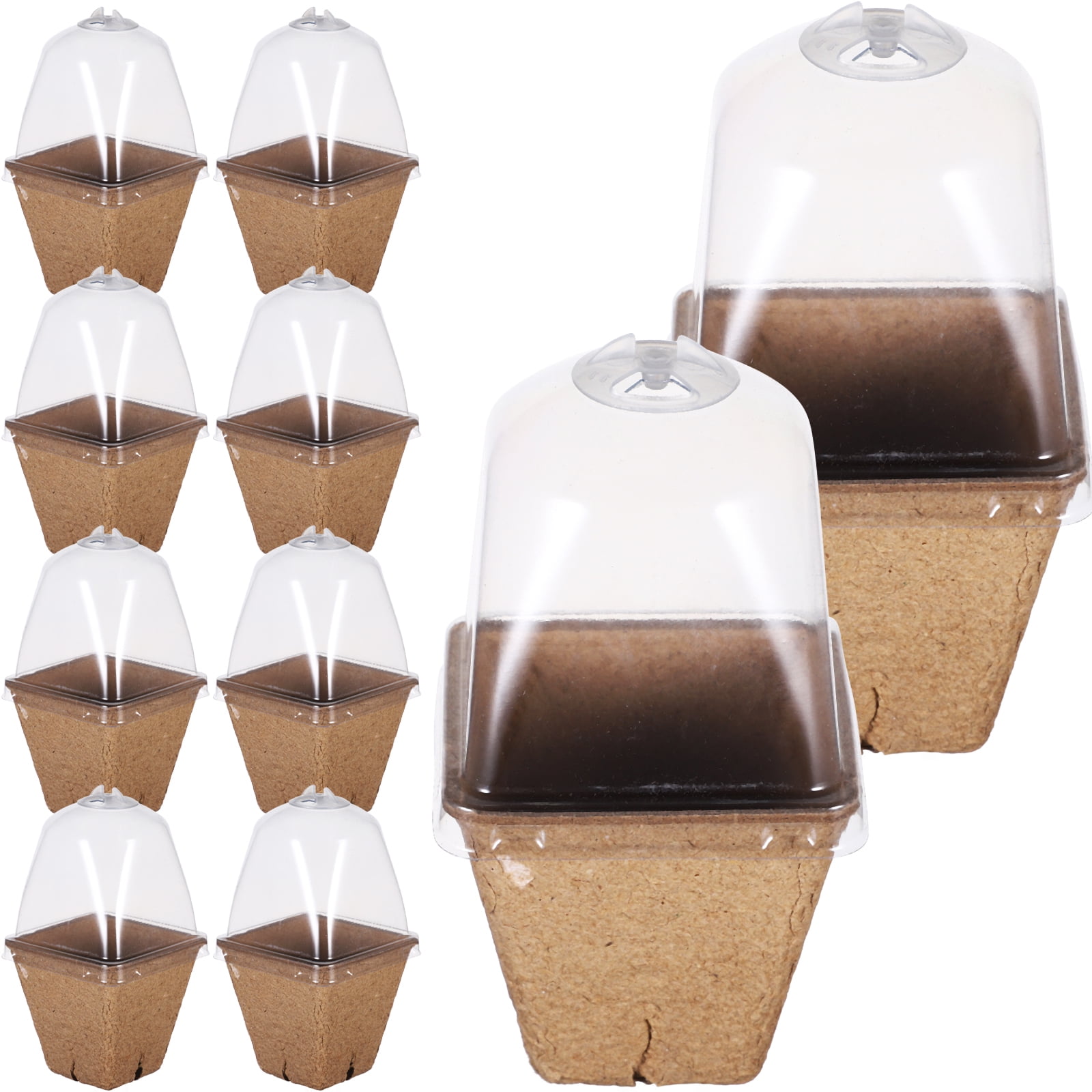 Pulp Seedling Tray Paper Pots Plant Seeds for Succulent Plants Planting ...