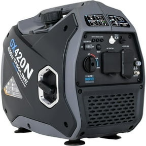 Pulsar Portable Gas-Powered Generator 1200W Black Gray with Recoil ...