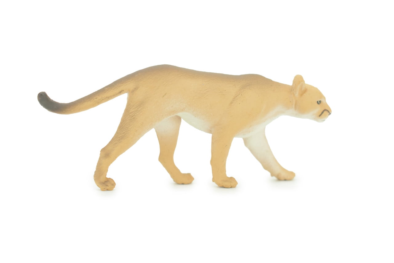 Puma, Cougar, Mountain Lion, American Lion, Hand Painted, Educational ...