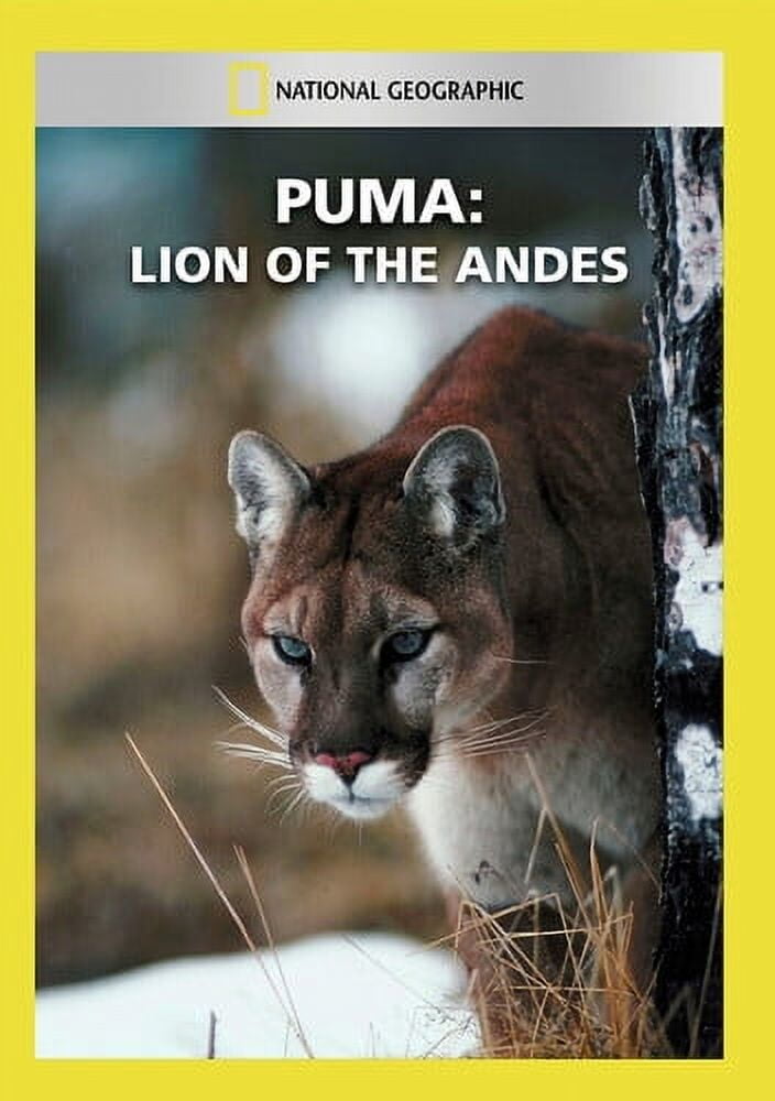 Puma: Lion of the Andes (DVD), National Geographic, Documentary - Walmart.com