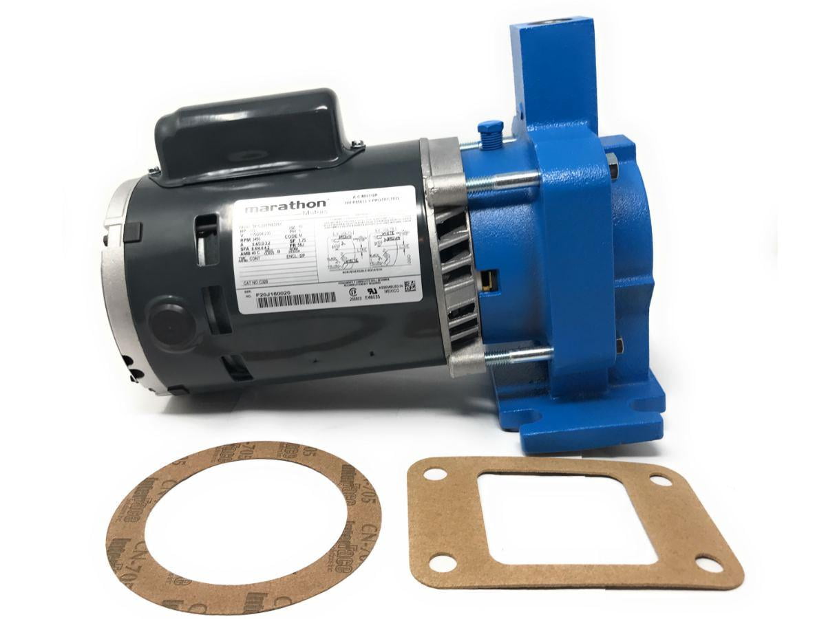Hoffman Home Improvement 1/3 HP Pump and Motor Assembly, 115/230V, 1 PH ...