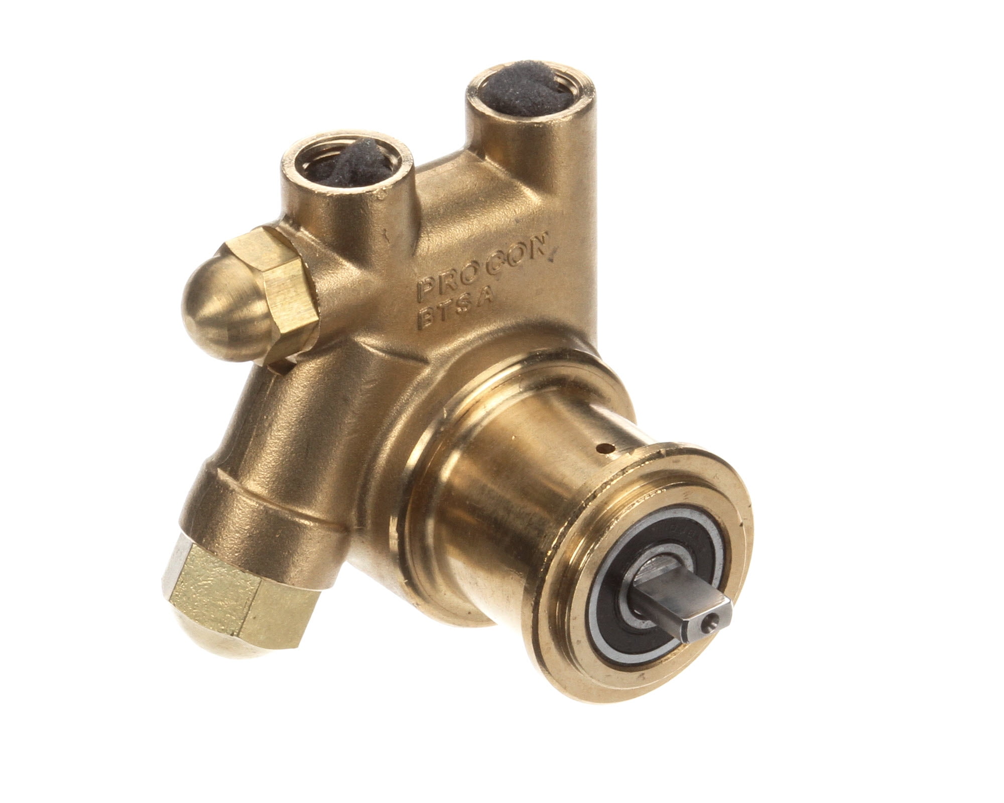 Multiplex Pump Brass Rotary Vane 100 Gph 16-0148 - Genuine OEM ...