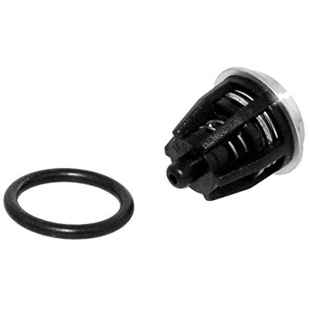 Pump Check Valves Kit 1 K01 Interpump - Walmart.com