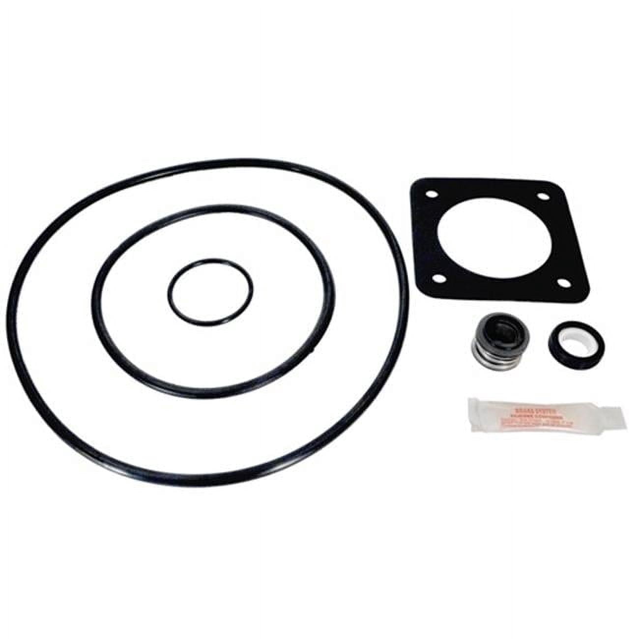 Pump Repair Kit with Premium Seal for Sta-Rite Dura-Glas & Maxi-Glas ...