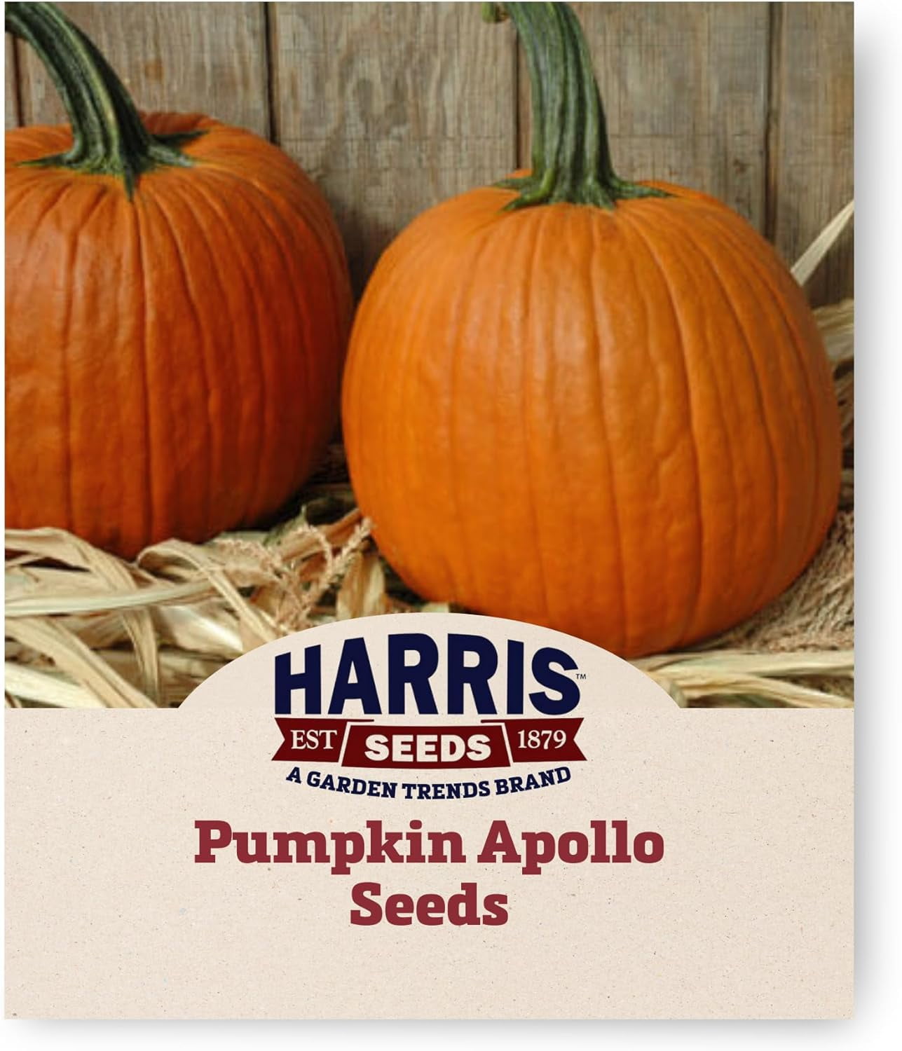 Harris Seeds Pumpkin Apollo Non-GMO Vegetable - 250 Seeds - Walmart.com