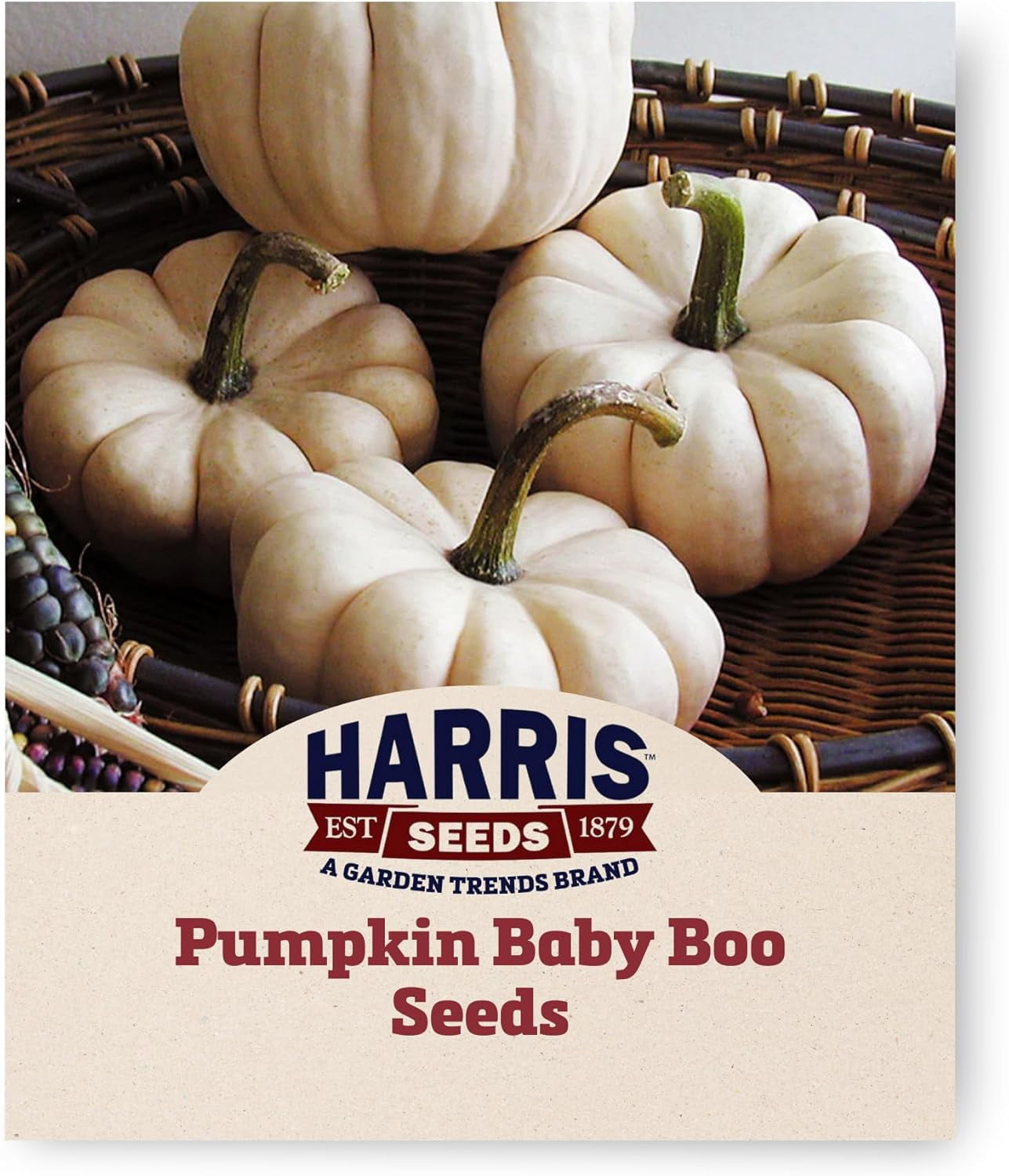 Harris Seeds - Pumpkin Seeds Baby Boo Variety White Fruit - 1 Oz ...