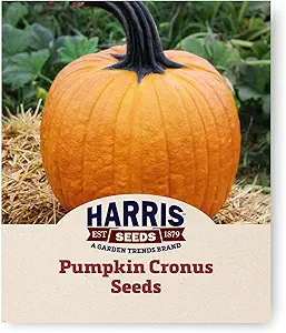 Harris Seeds - Pumpkin Cronus Fast Germination Non-GMO Dark Orange ...