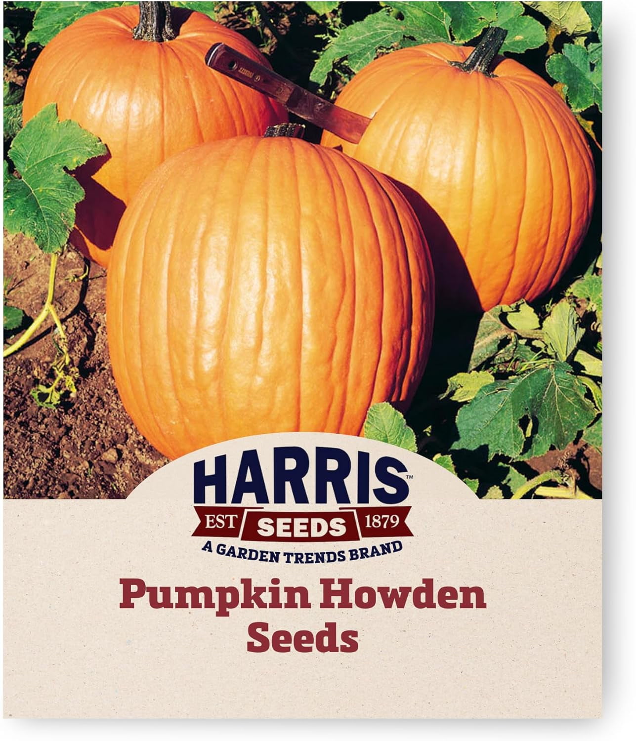 Harris Seeds - Pumpkin Howden Variety Deep-Round Orange Fruit Seeds - 1 ...