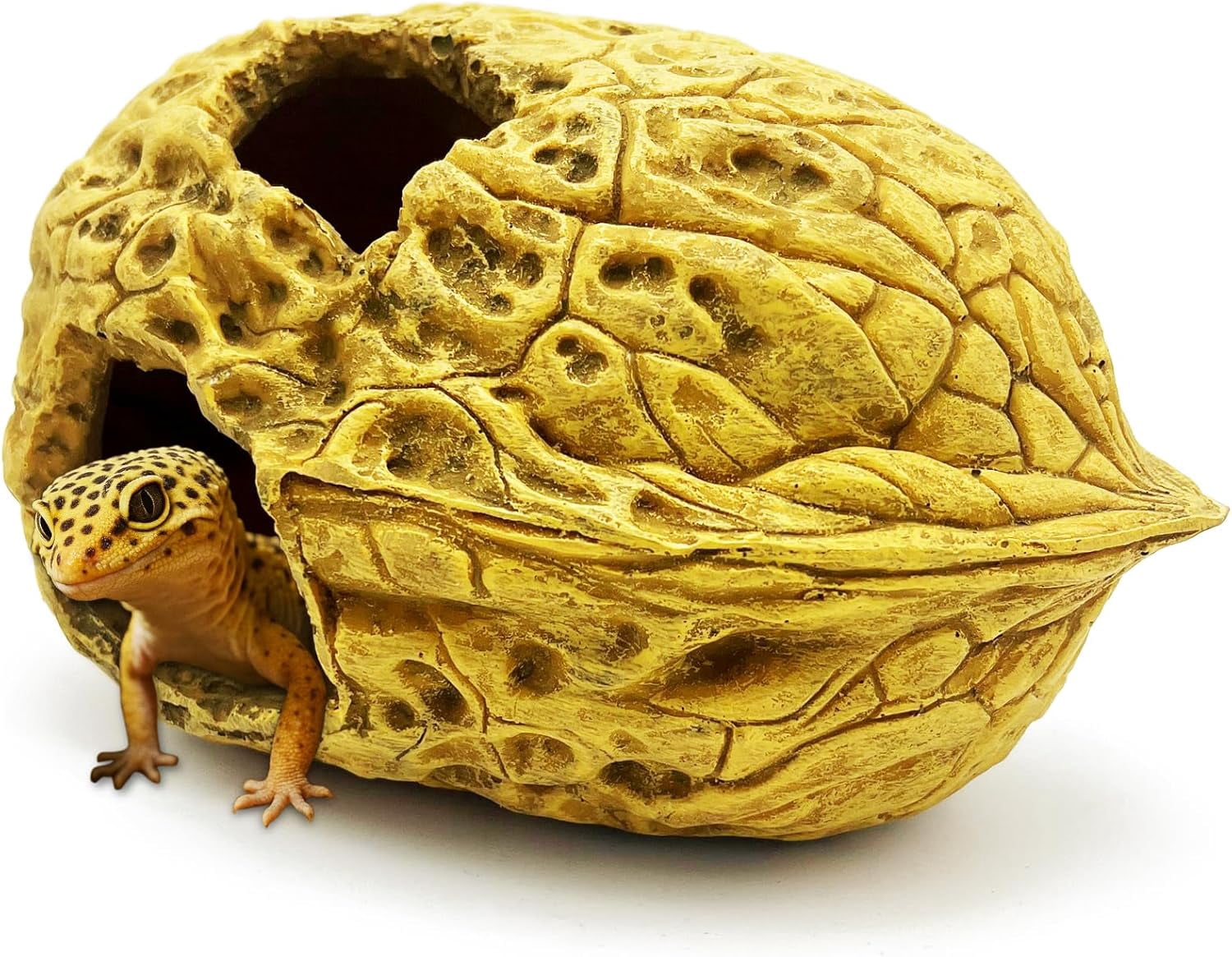 Pumpkin Leopard Gecko Hide Reptile Bearded Dragon Tank Hideout Caves ...