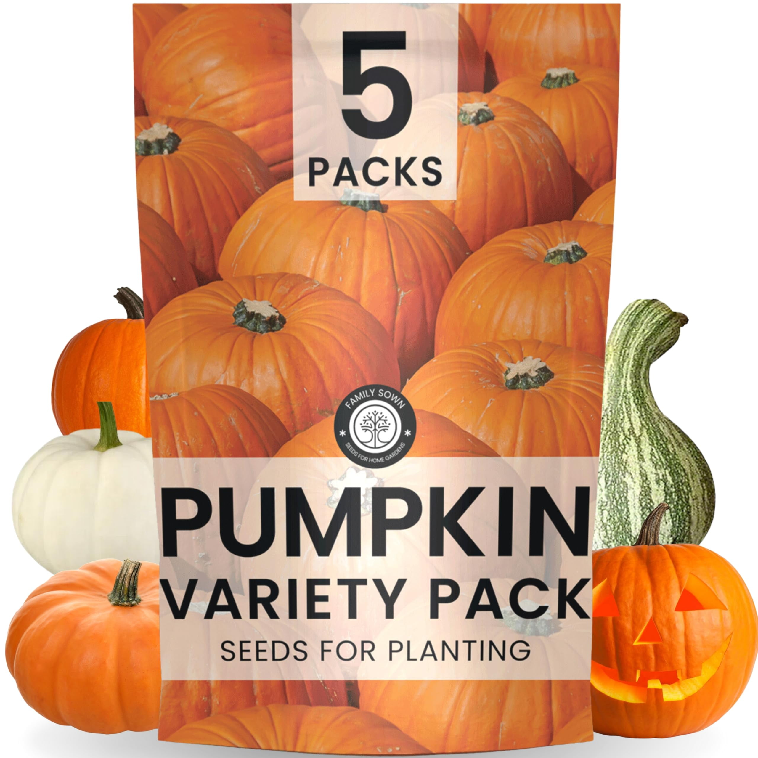 Pumpkin Seeds | 5 OKA4 Invidiual Packs | 2025 Season | Non-GMO | Jack O ...