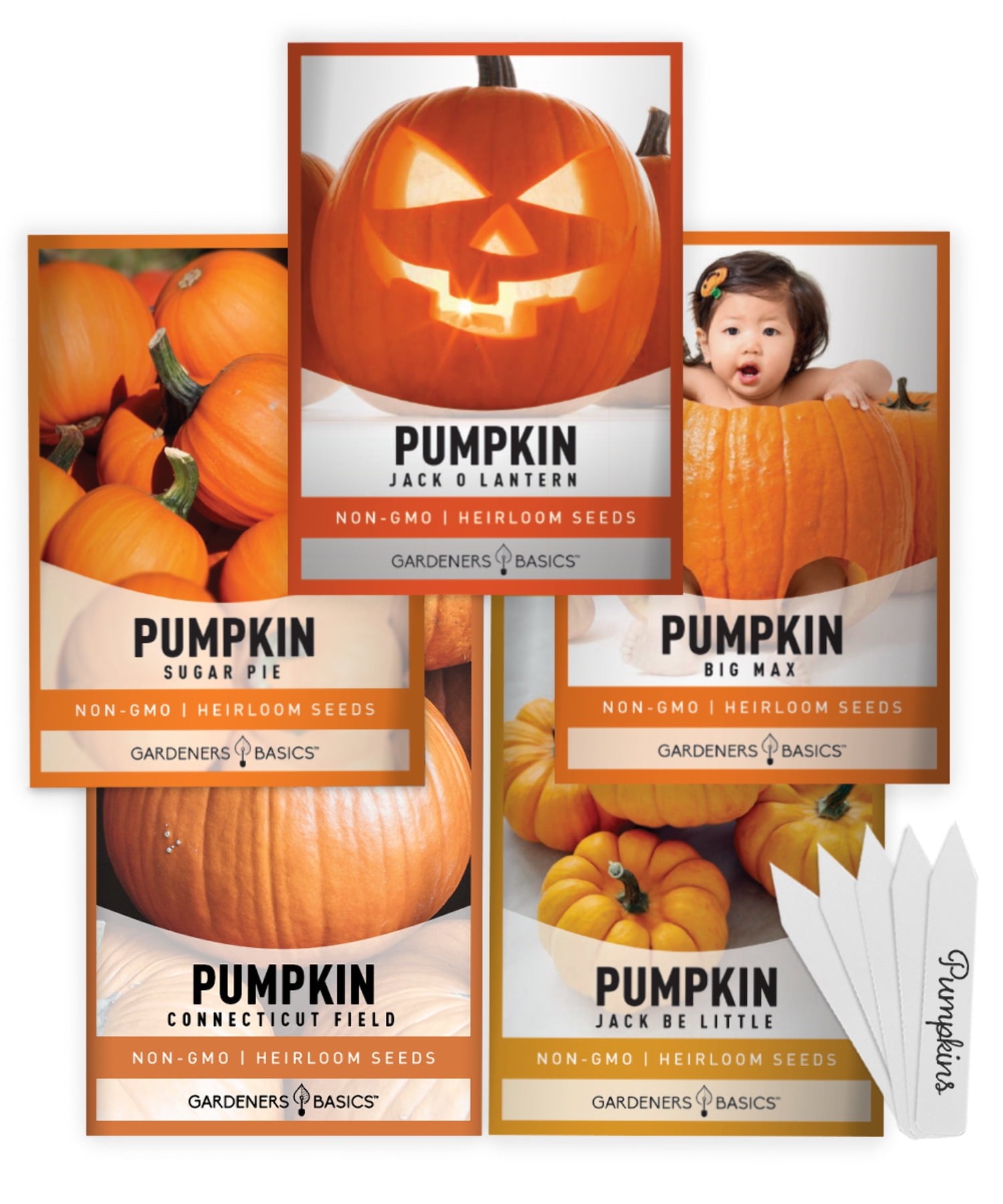 Gardeners Basics, Pumpkin Seeds, 5 Variety Pack, Non-GMO Heirloom ...