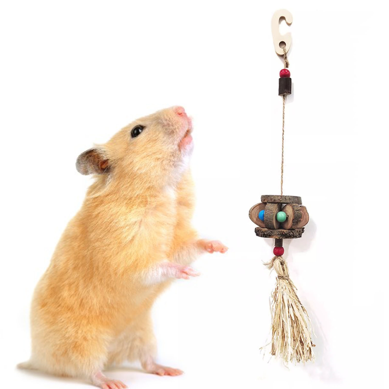 Pumpkin-Shaped Hamster Chew Toy with Hanging Hook - Made from Wood ...