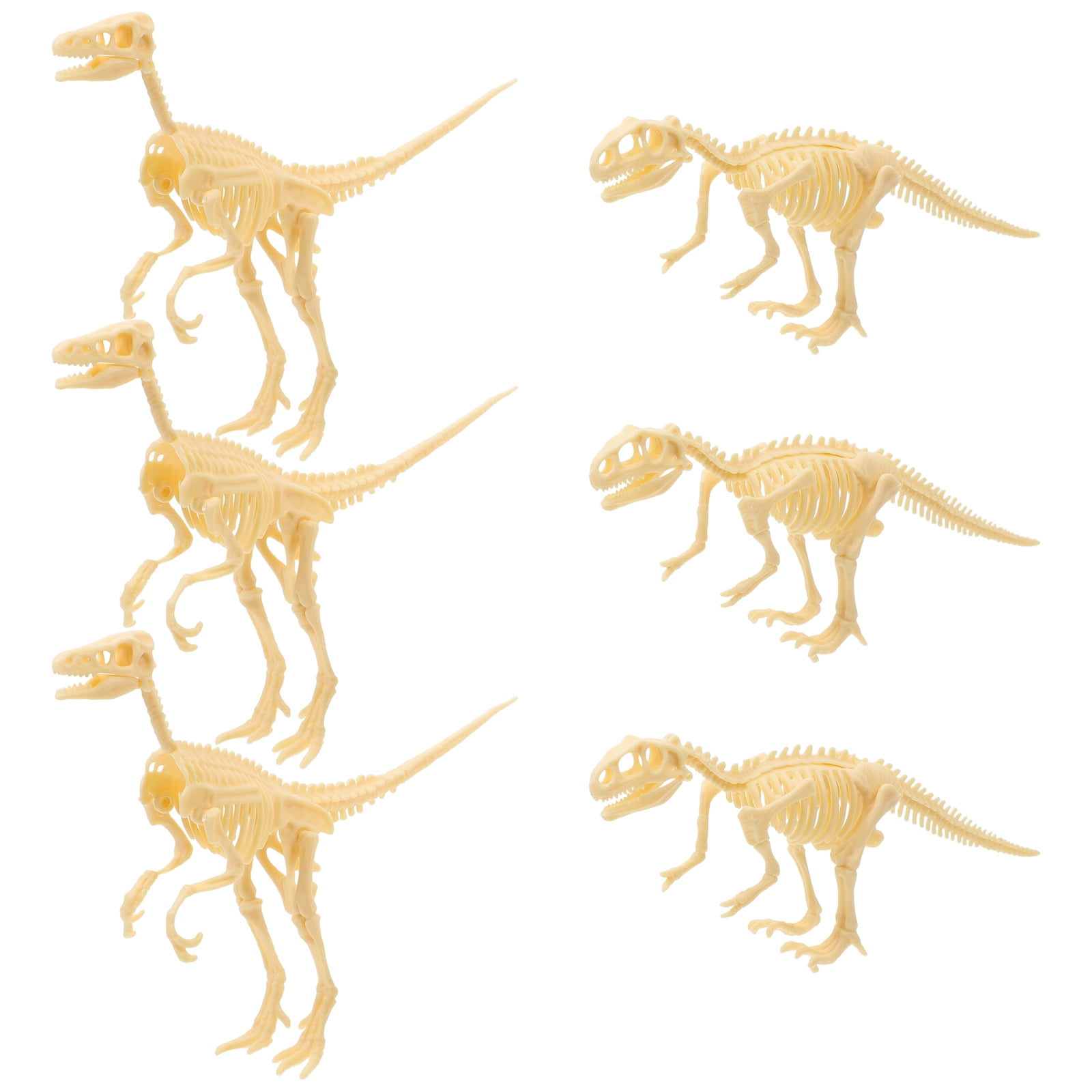 Pungan dinosaur model kit 6pcs Dinosaur Skeleton Self-assembly Dinosaur ...