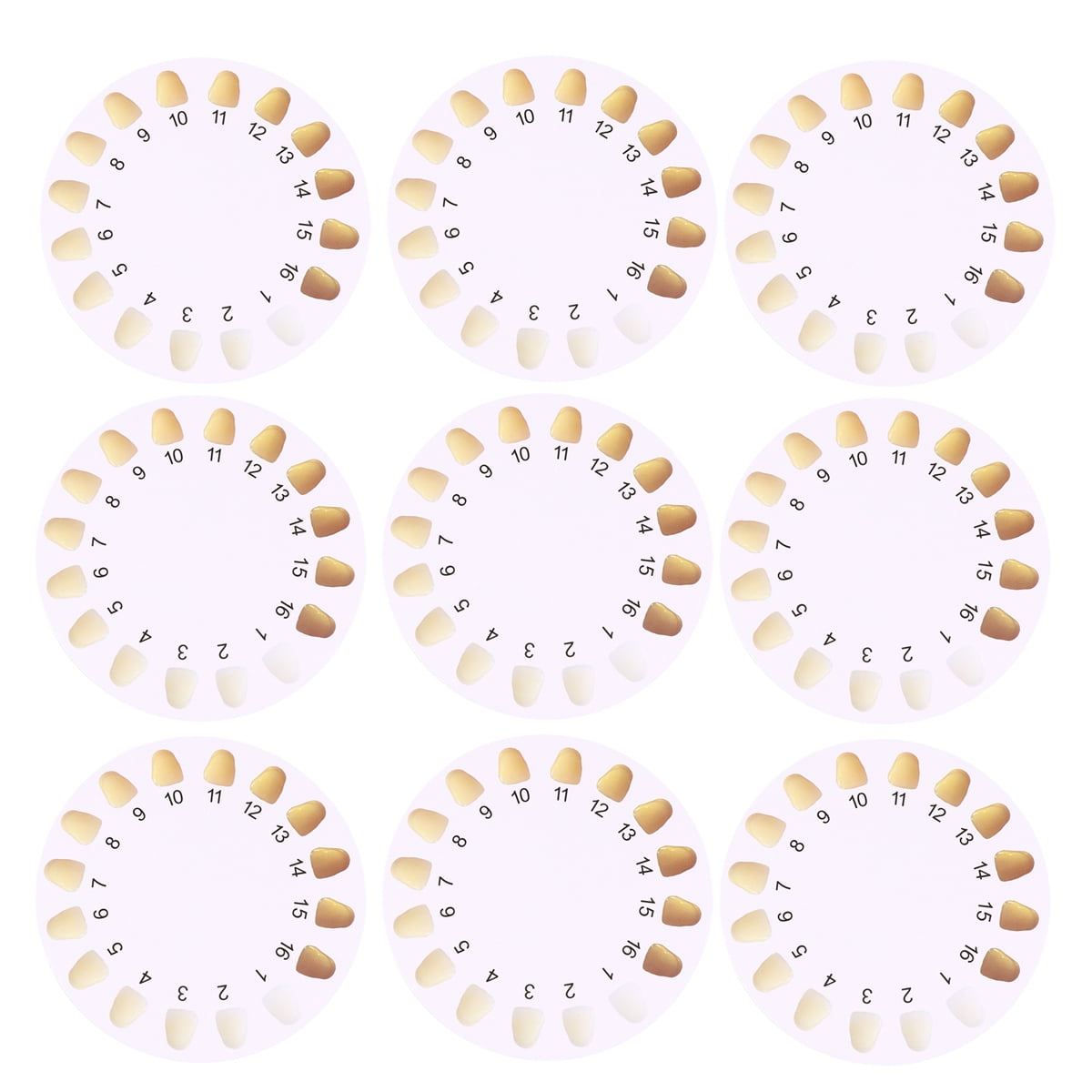 Pungan teeth color card 20PCS Teeth Shade Chart Guide for Dental Use,3. ...