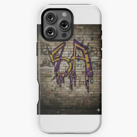 Punk Rock Baldwin County Music Art iPhone Case 17 16 15 14 13 12 11 Pro ...
