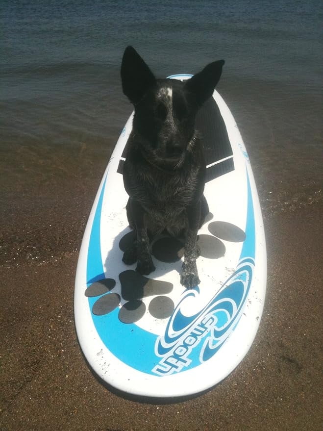 Kayak Dog Deck