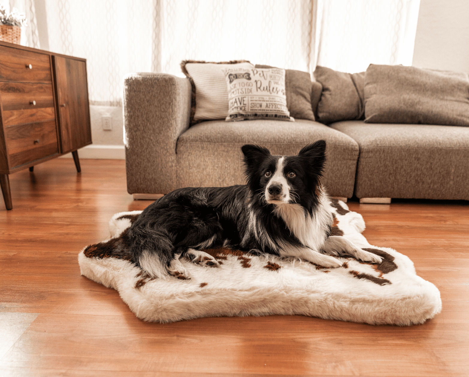 PupRug by Paw.com? Animal Print Memory Foam Dog Bed - Brown Faux ...