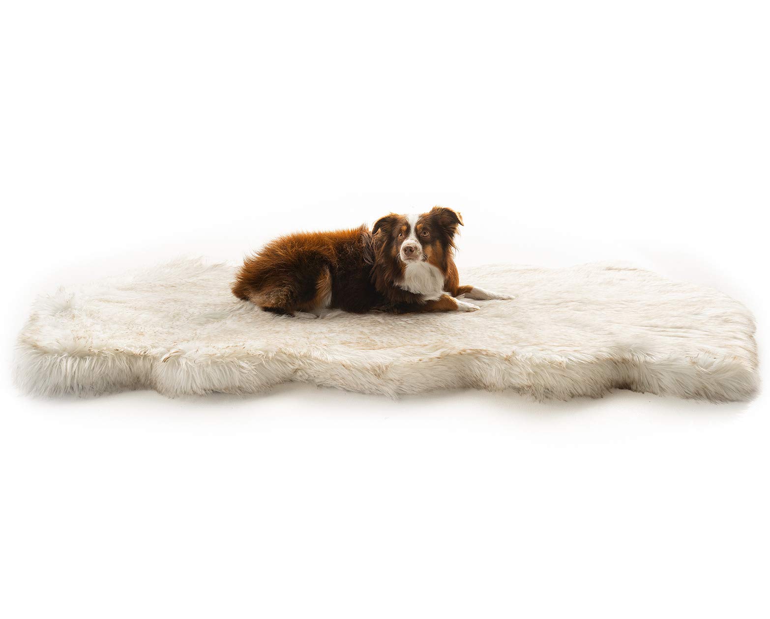 PupRug by Paw.com Animal Print Memory Foam Dog Bed - Brown Faux Cowhide ...