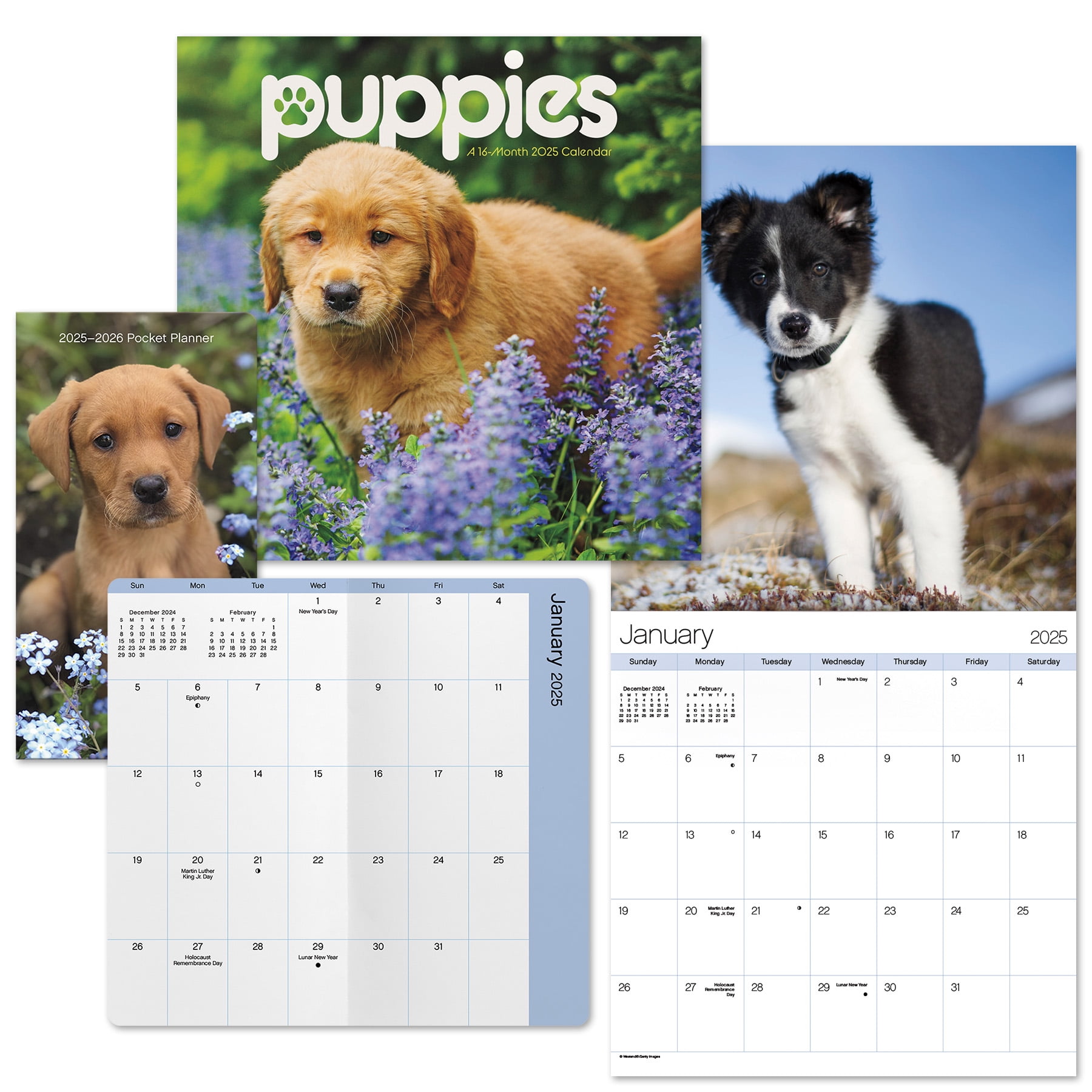 Puppies 2025 Calendar and Pocket Planner - Walmart.com