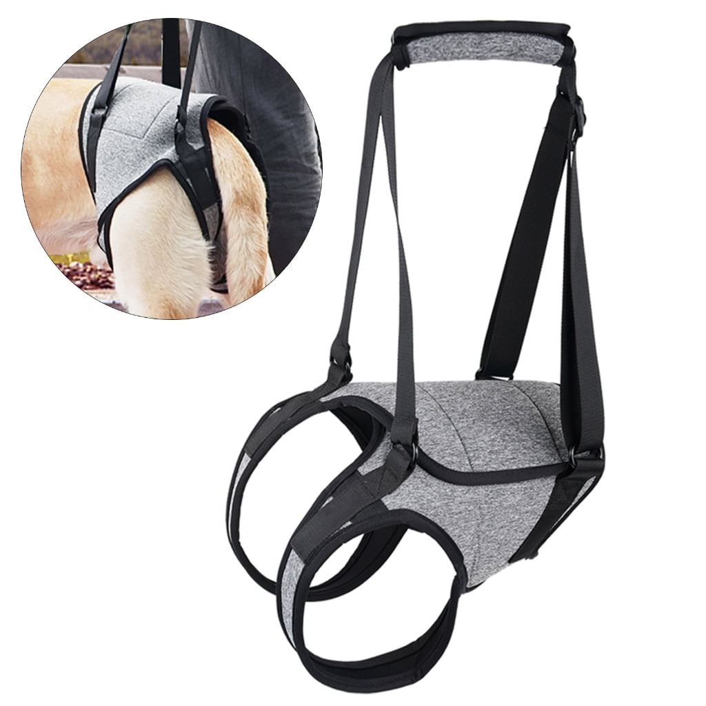 Puppy Back Leg Support Strap Lift Harness for Dog Surgical Joint Leg ...