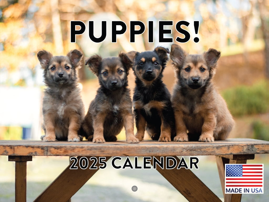 Puppy Calendar 2025 Dog Puppies Monthly Wall Calender 12 Month ...