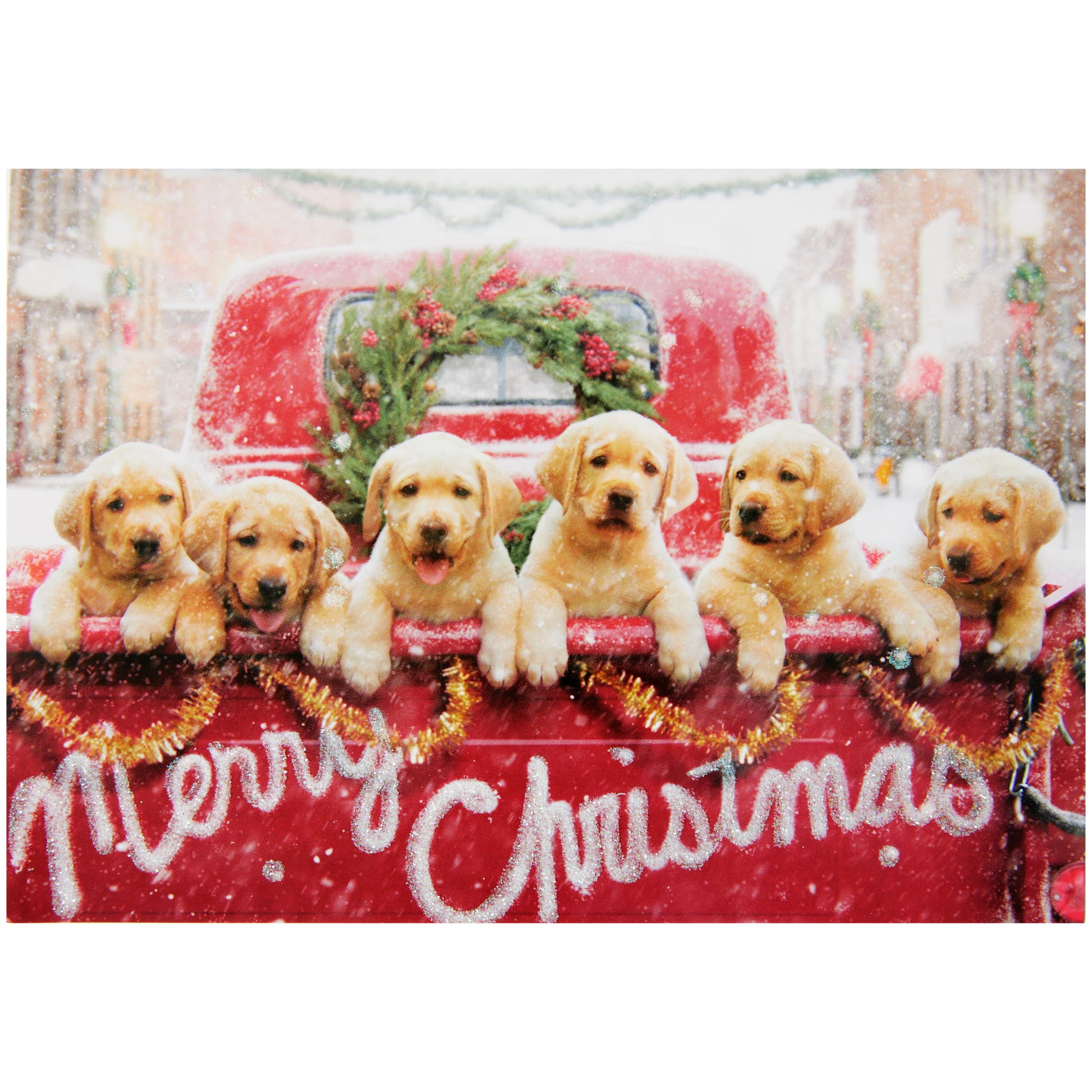 Puppy Christmas Cards and Envelopes, Multicolor, 5 in x 7 in, 18 Count ...