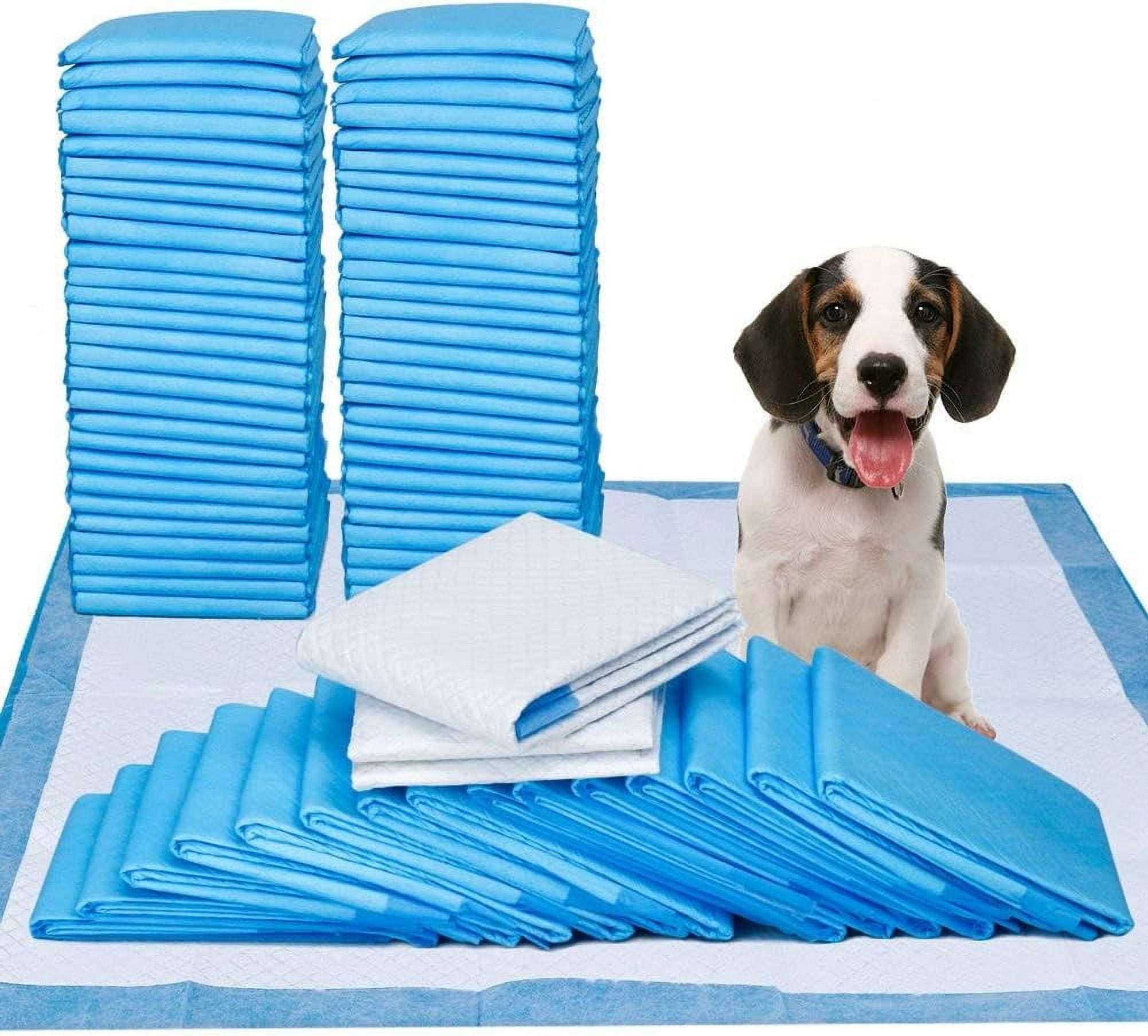 Puppy Dog Training Potty Pads - 84 Count Box - 23" x 24" Large - Ultra ...