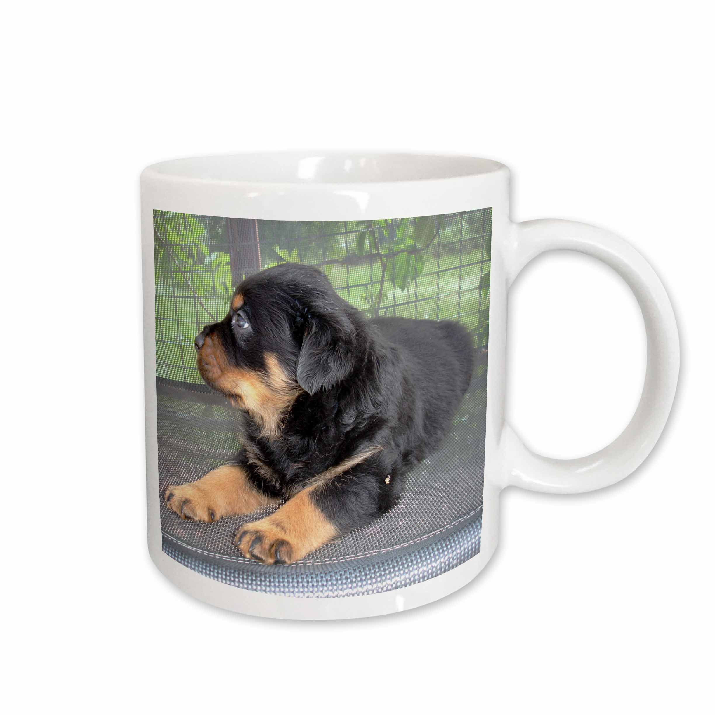 Puppy Face (Left) - rottweiler, rottweilers, rottie, rotties, rottie ...