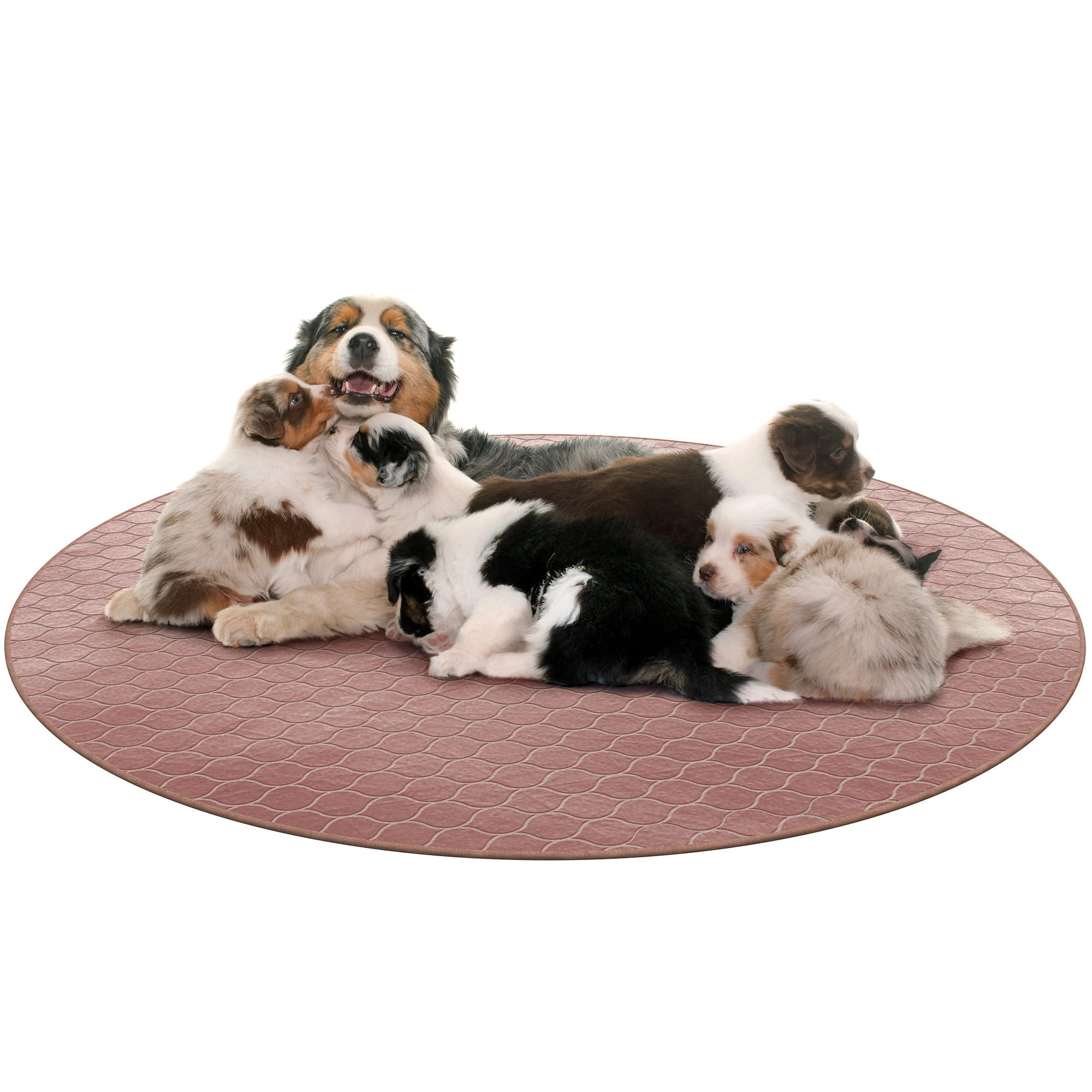 Puppy Pad Round - 48x48 - Walmart.com