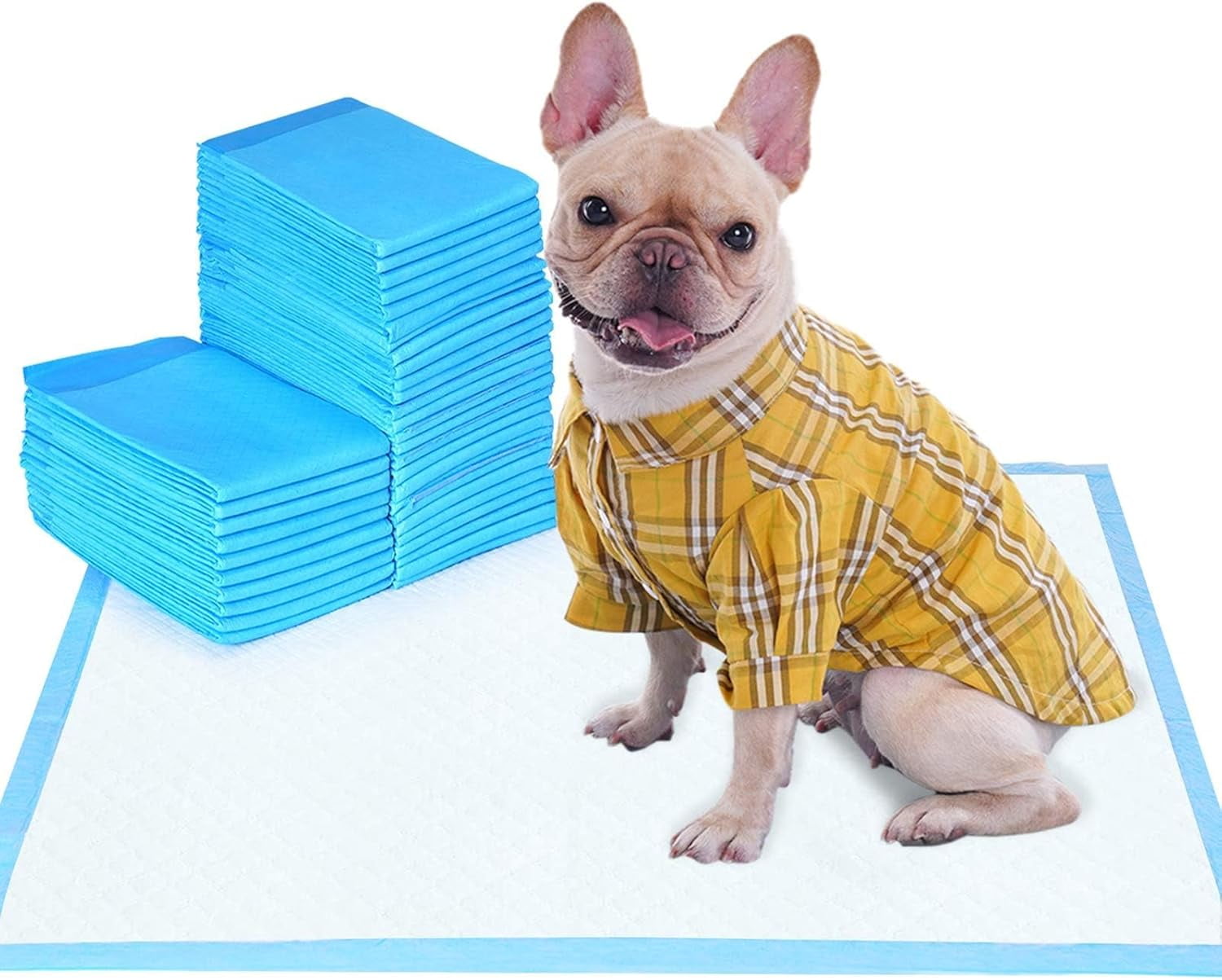 Puppy Pads and Dog Pee Pads 22"x22" - 100 Count Regular Size - Super ...