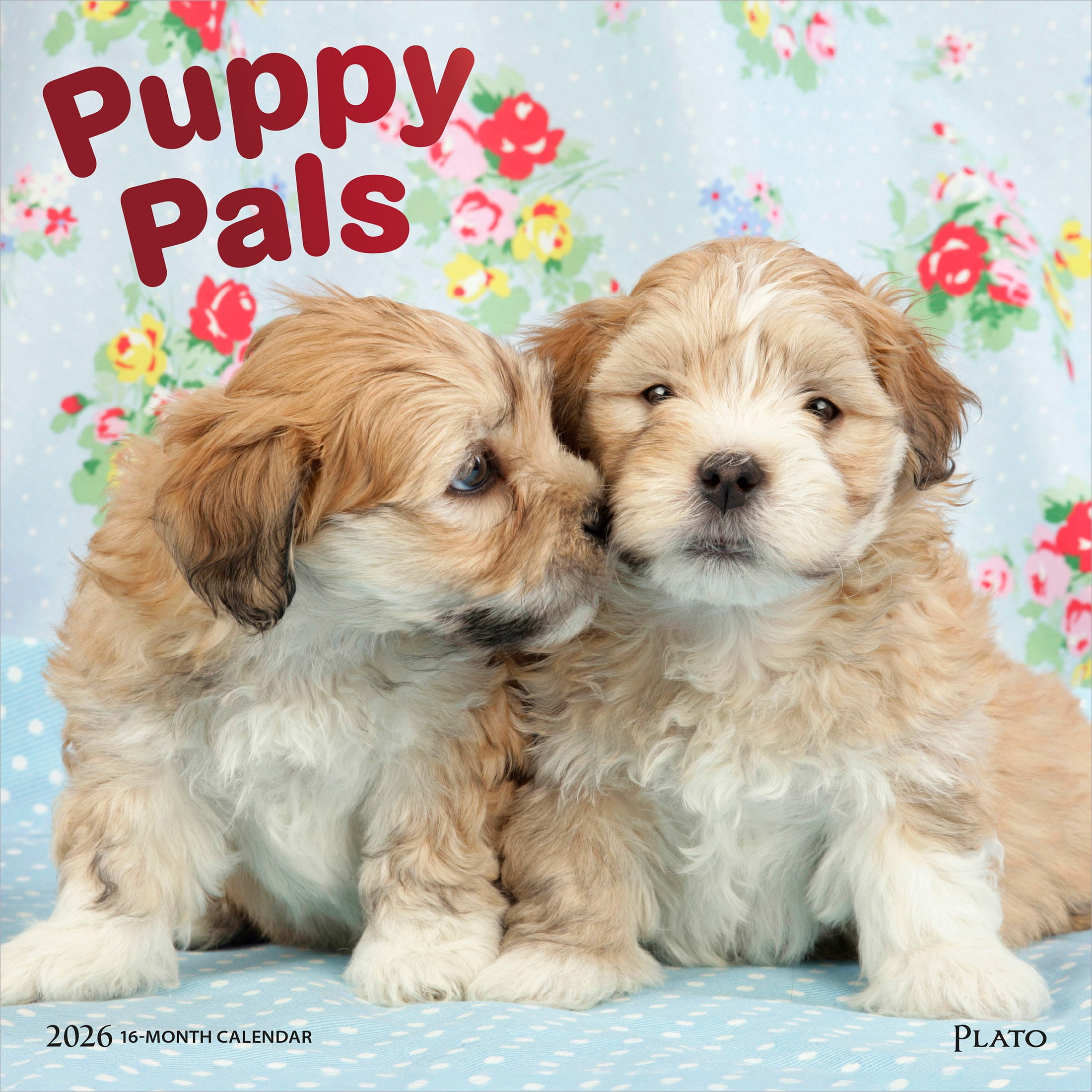 Puppy Pals | 2026 12x24" (Hanging) Monthly Square Wall Calendar | Plato ...