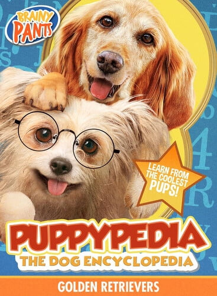 Puppy-Pedia The Dog Encyclopedia: Golden Retrievers (DVD), Brainy Pants ...