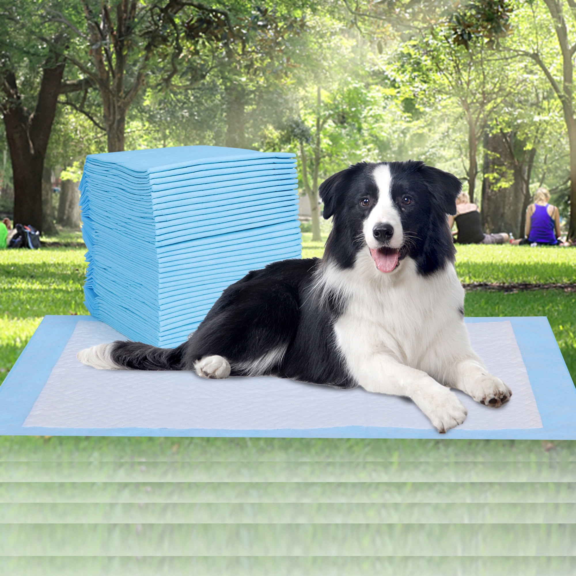 Puppy Pee Pads with Leak-Proof Quick-Dry Cat Dog Potty Training Pee ...
