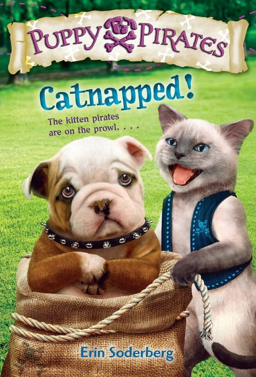 Puppy Pirates Catnapped!, Book 3, (Paperback) - Walmart.com