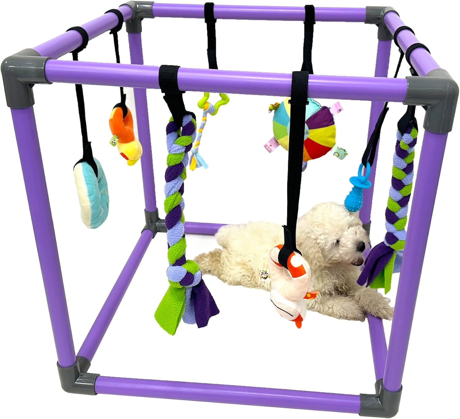 Puppy Play Gym for Small Dogs with 8 Hanging Toys, Jungle Playground ...